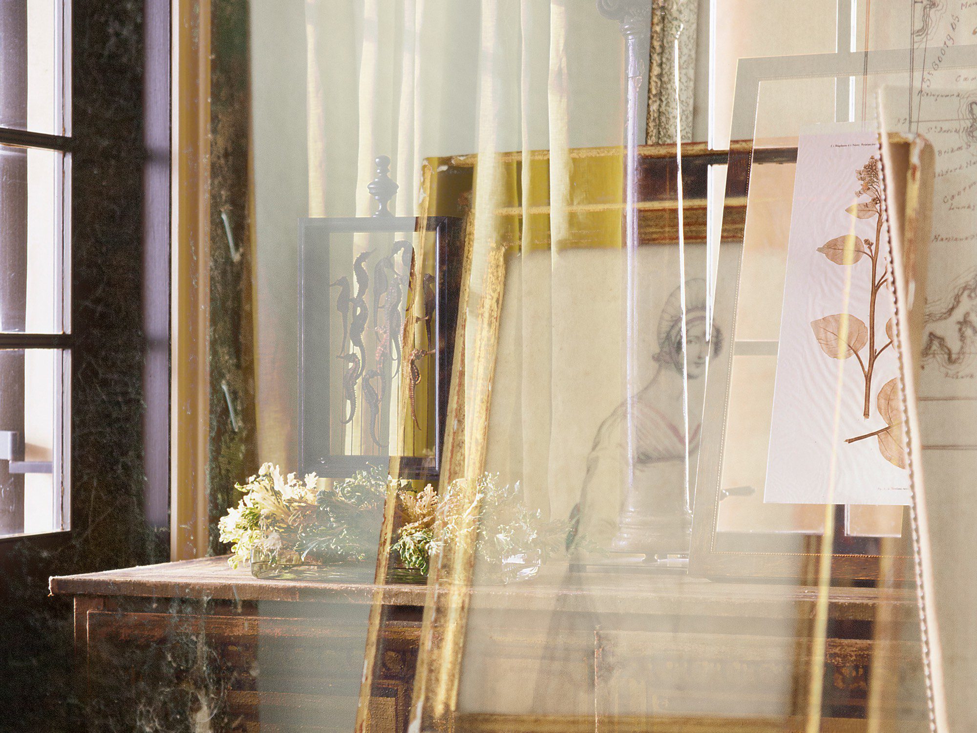 Susan Ferrier Interiors