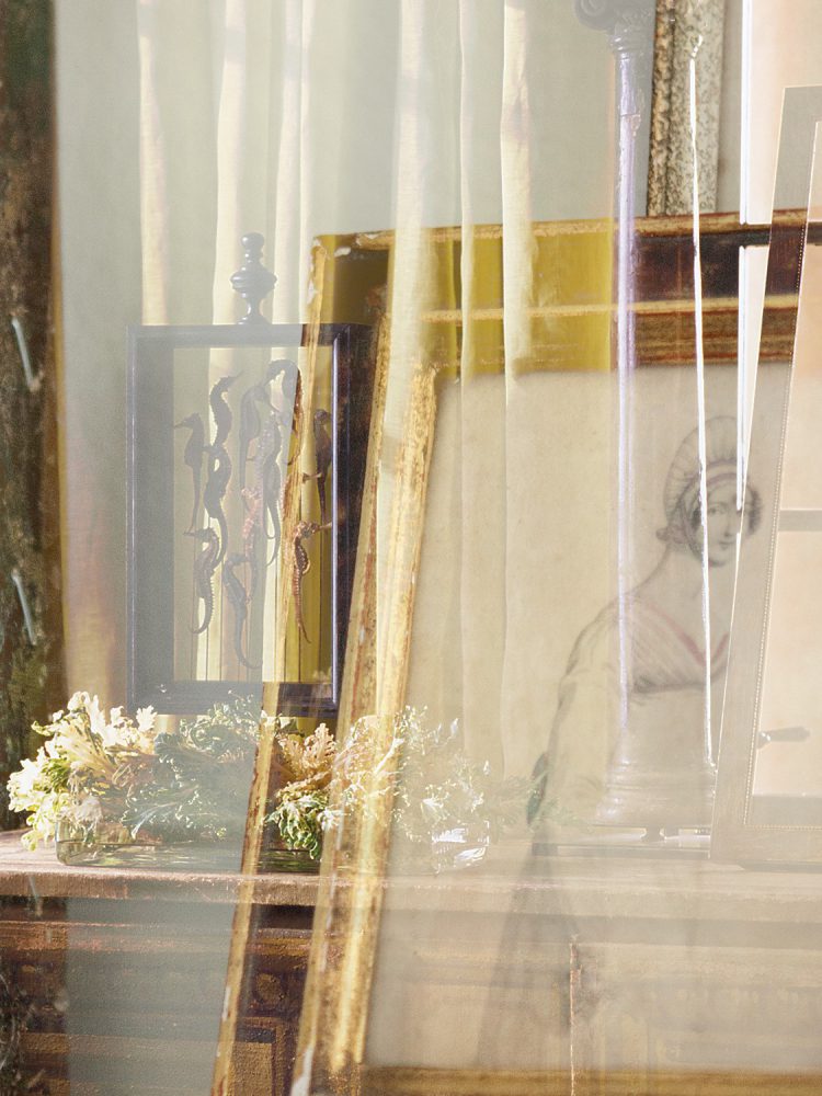 Susan Ferrier Interiors