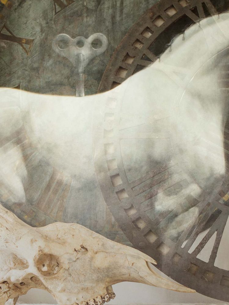 Susan Ferrier Interiors