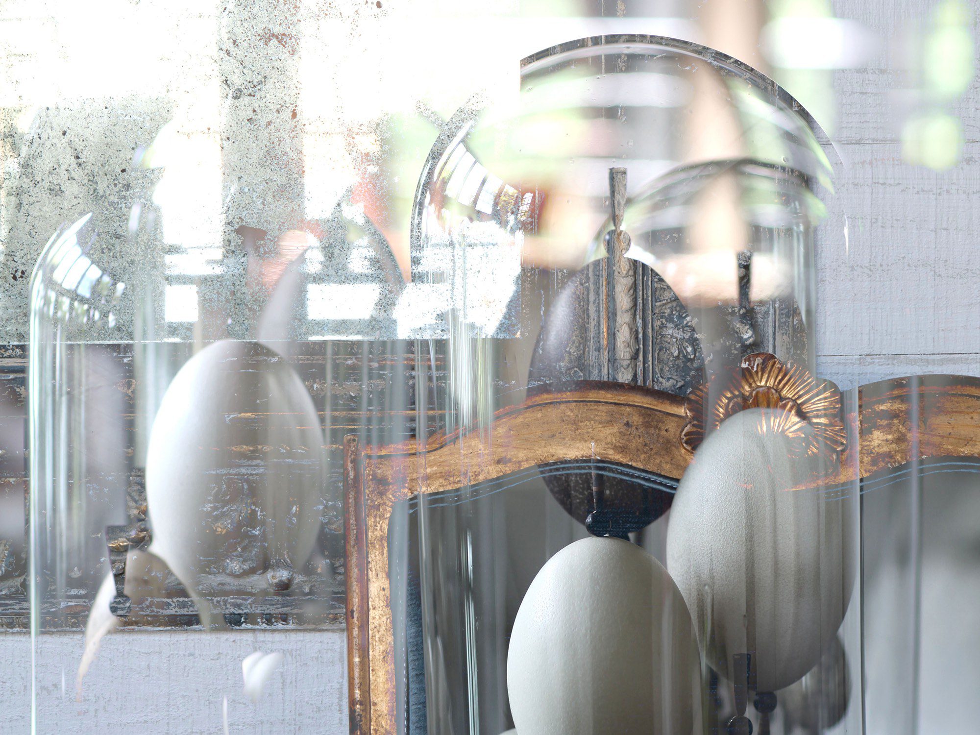 Susan Ferrier Interiors