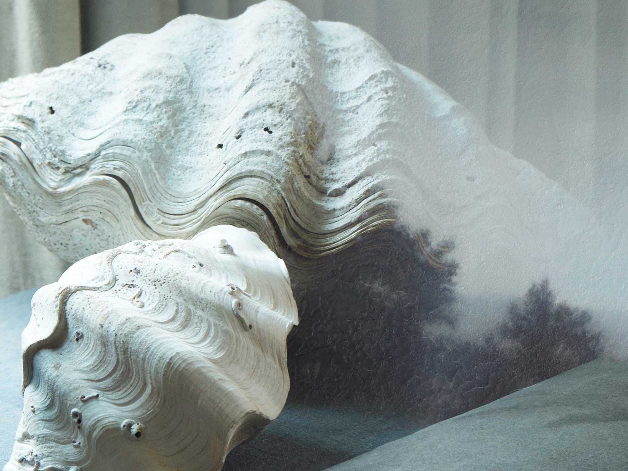 Susan Ferrier Interiors