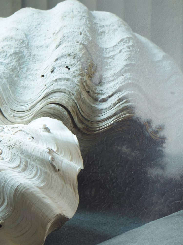 Susan Ferrier Interiors